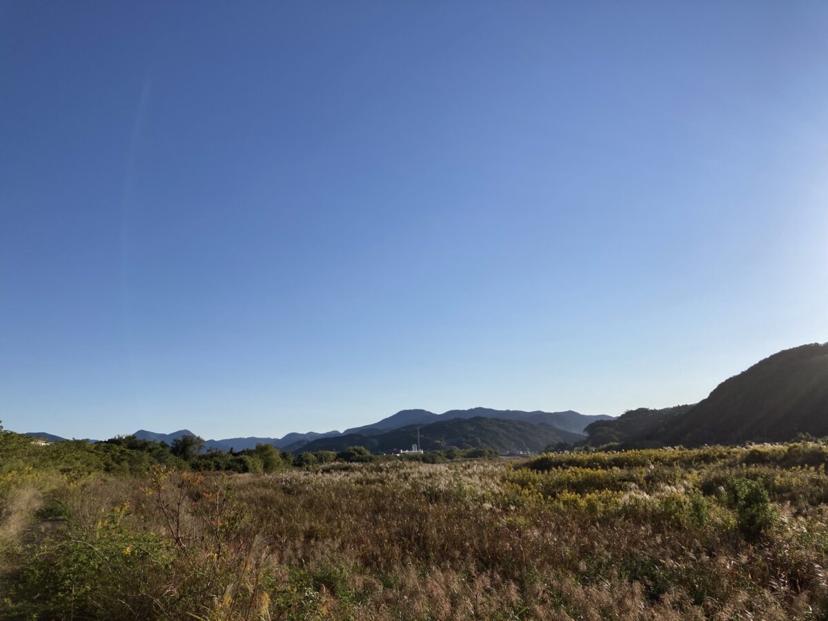 上富田町の犬のしつけ教室｜おすすめのスクール・幼稚園・動物病院を調査！ - ワンコ プロフェッショナル